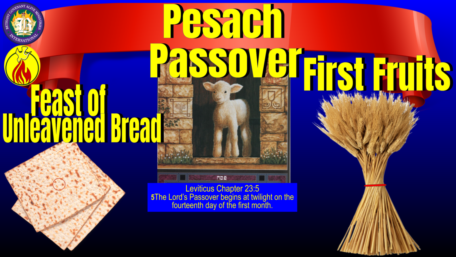 Overview of the Passover - Bethany Covenant Alive Ministries Intl