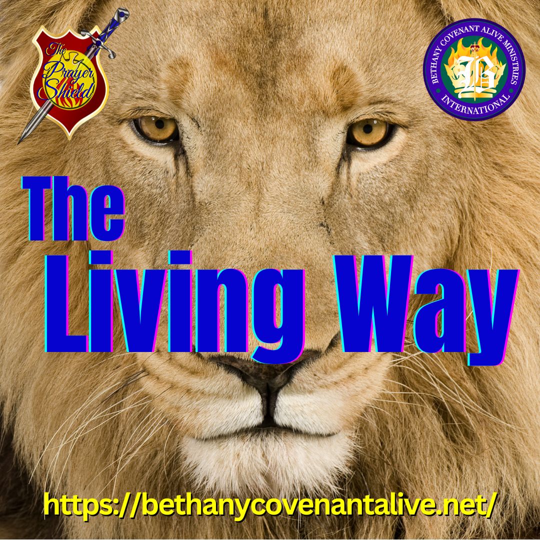 New Covenant Living Way - Bethany Covenant Alive Ministries Intl